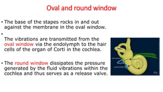 Mri procedure of INTERNAL ACOSTIC MEATUS | PPTX