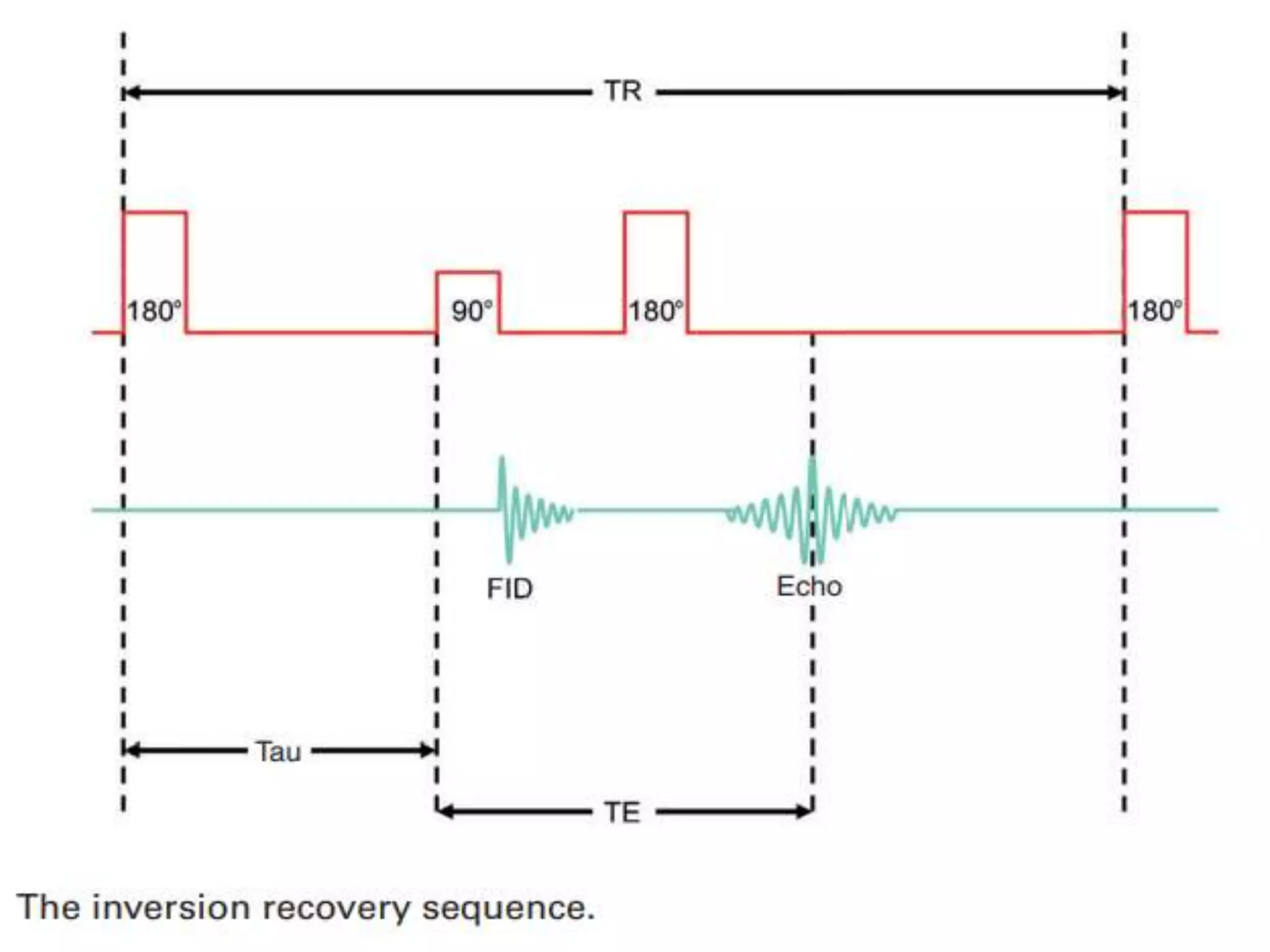 MRI PULSE SEQUENCE.pptx