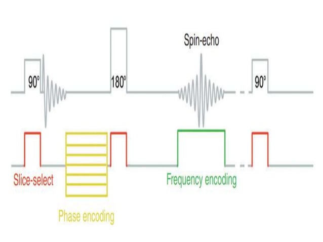 MRI PULSE SEQUENCE.pptx | Blood Disorders | Diseases and Conditions