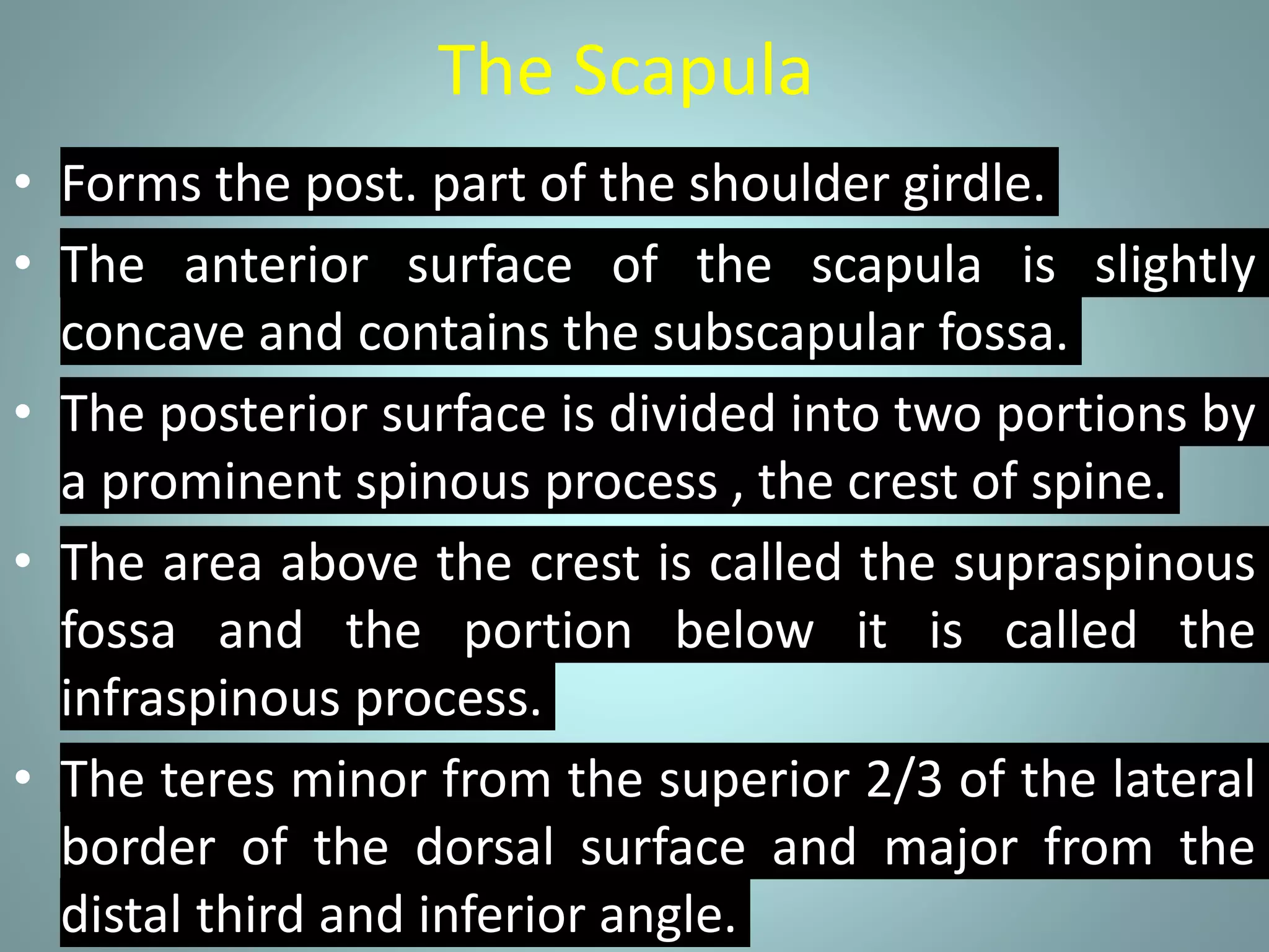 MRI shoulder and knee- Anatomy, Scan Planning & Its Techniques | PPTX