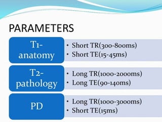 MRI Basic Principle, MRI Sequences, RF and Gradient Pulse: Significance ...