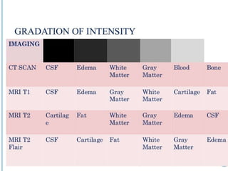 MRI Basic Principle, MRI Sequences, RF and Gradient Pulse: Significance ...