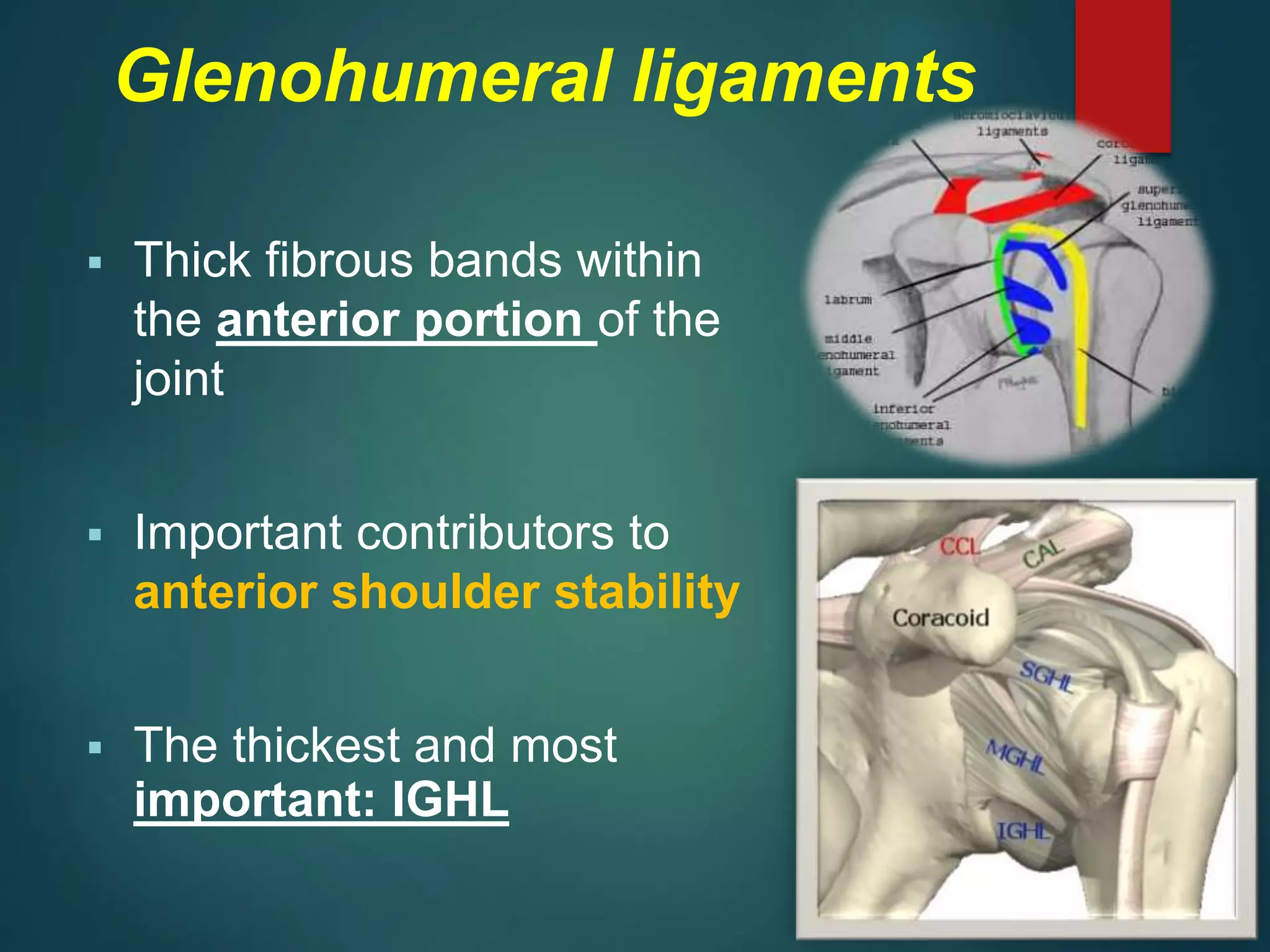 MRI of the shoulder | PPTX