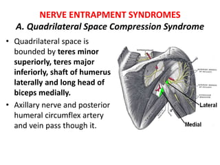 Mri shoulder joint with common pathologies | PPTX