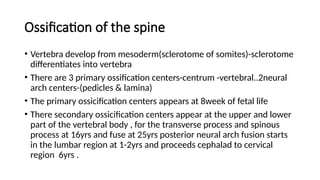 Magnetic resonance Imaging SPINE ANATOMY.pptx