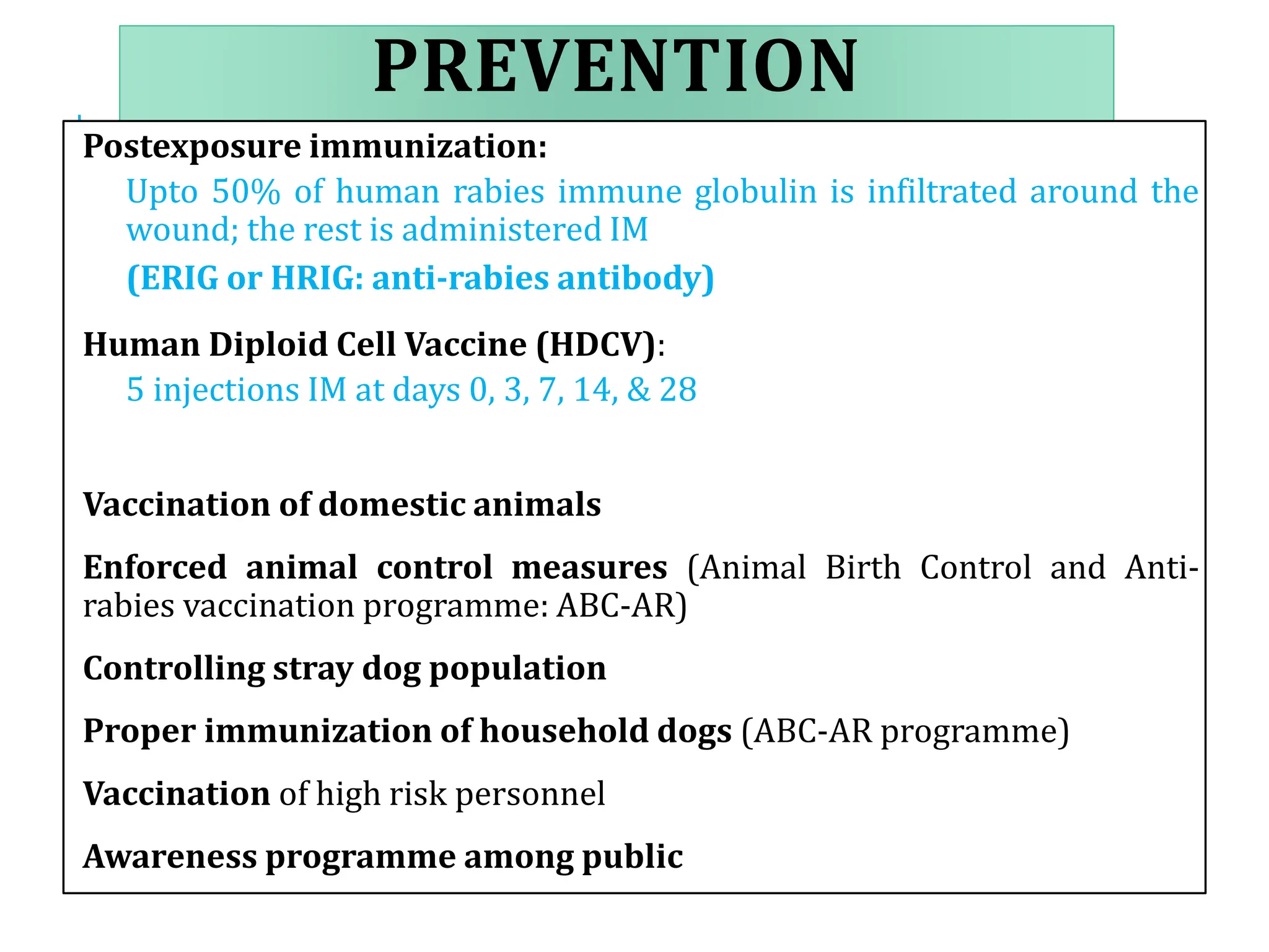 POWER POINT PRESENETAION REGARDING LARGE ANIMAL | PPTX