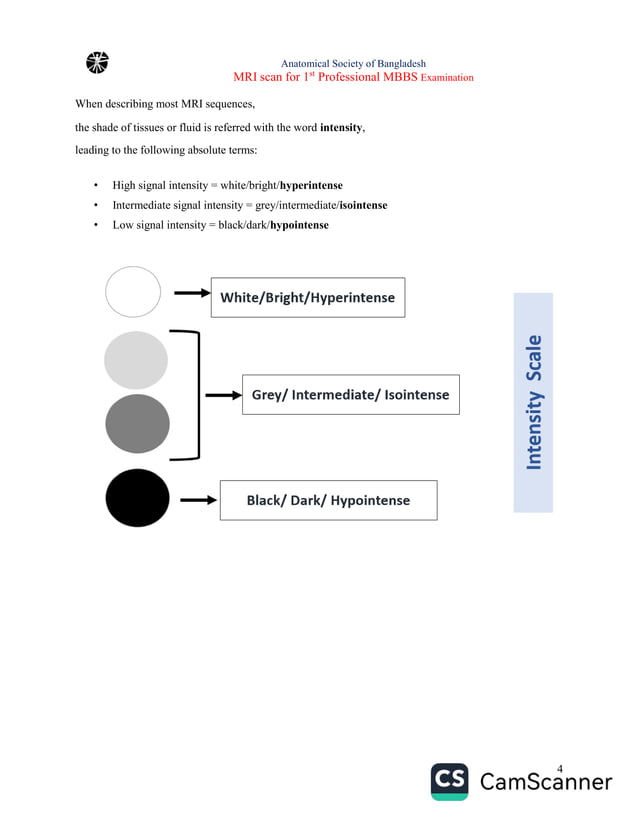 #CT Scan with horror FL callChecklist.pdf