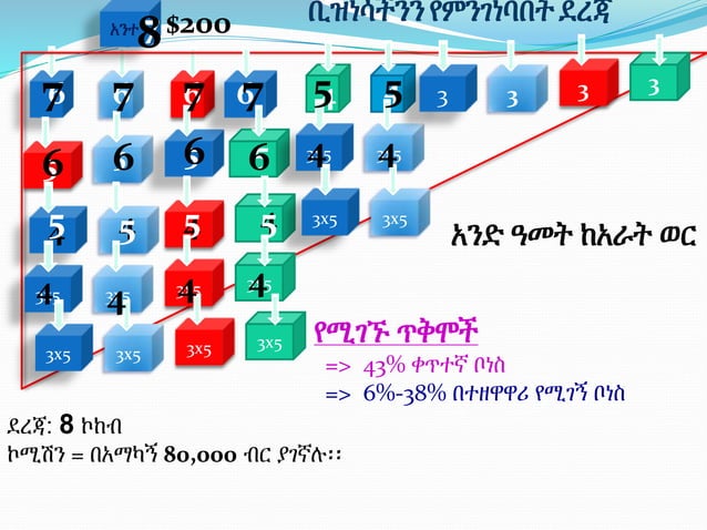 TIENS MARKETING plan | PPTX