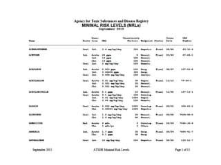 MRL(Minimal Risk Level) | PPTX