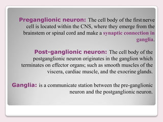 Autonomic nervous system | PPT