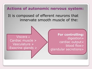 Autonomic nervous system | PPT