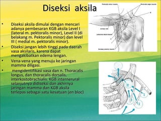 Modified Radical Mastectomy MRM aai | PPT