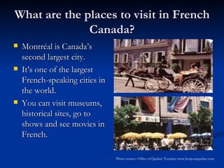 Mr Matt French Canada | PPT