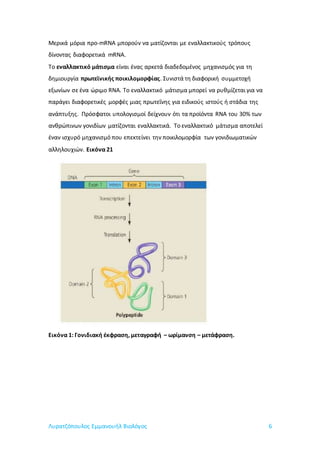 ωρίμανση του M rna | DOCX