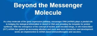 In vitro transcription vector | PDF