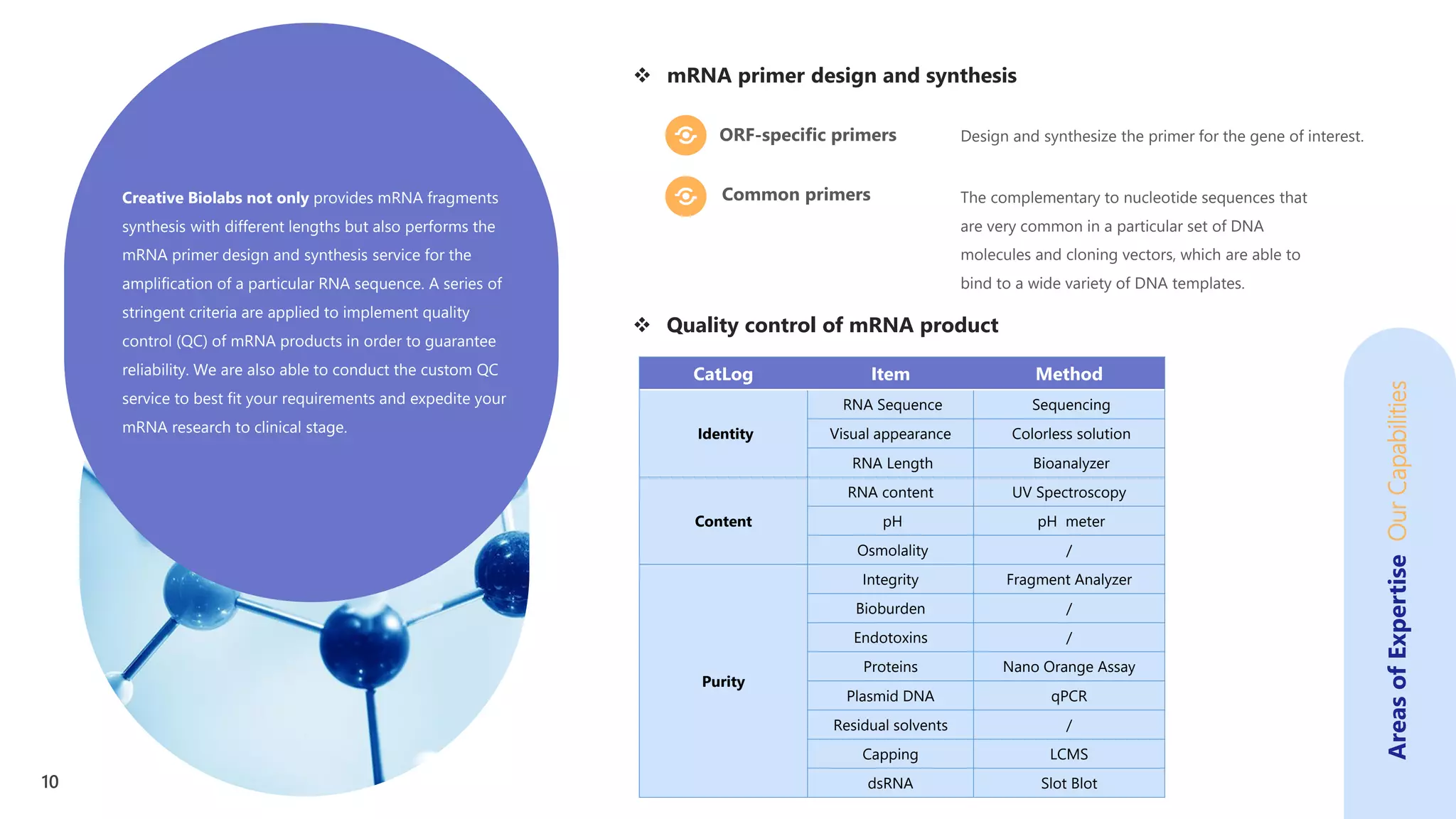 mRNA primer design and synthesis | PPT