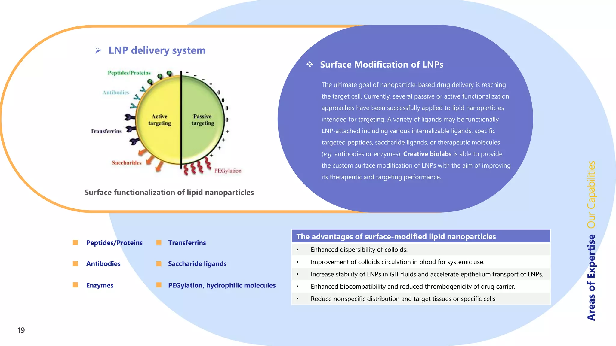 Surface Modification of LNPs | PDF