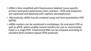 mrna and mirna (1).pptx