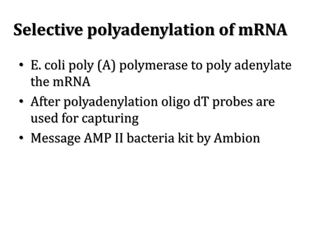 Messenger RNA (mRNA) enrichment | PPTX | Chemistry | Science