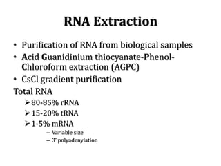 Messenger RNA (mRNA) enrichment | PPTX