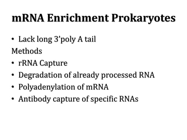 Messenger RNA (mRNA) enrichment | PPTX | Chemistry | Science
