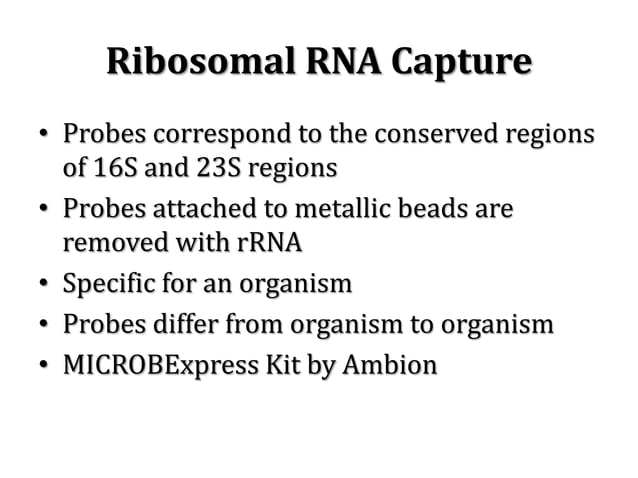 Messenger RNA (mRNA) enrichment | PPTX | Chemistry | Science