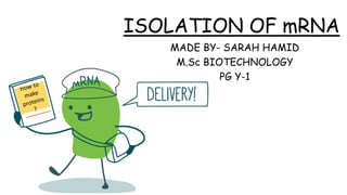 mRNA Isolation | PPTX