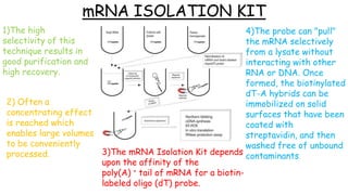 mRNA Isolation | PPTX