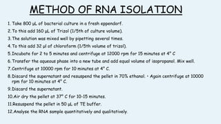 mRNA Isolation | PPTX