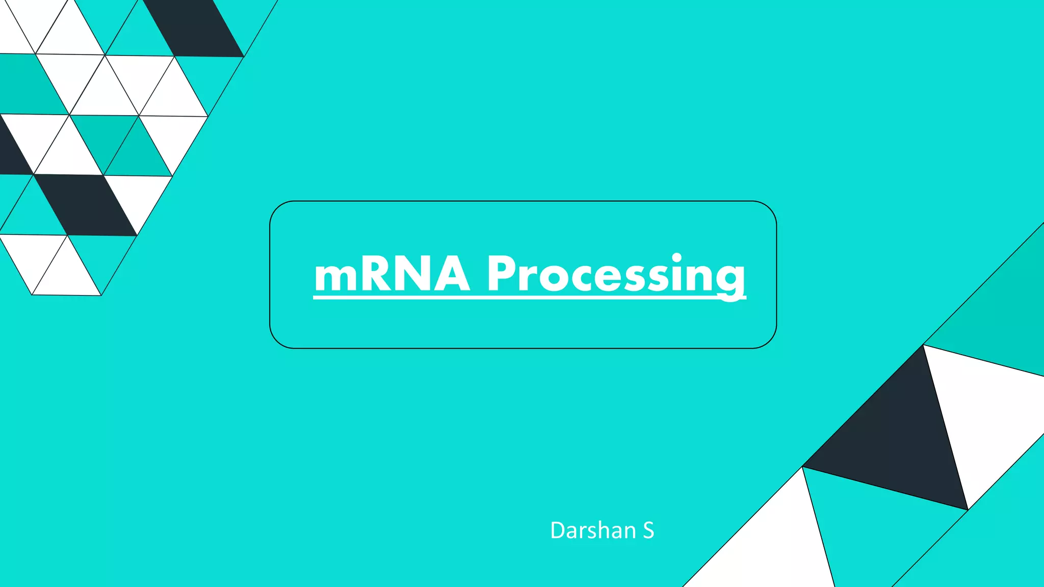 mRNA processing | PPTX
