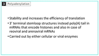 mRNA processing | PPTX