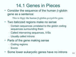 mRNA processing Lecture Note Presentation.ppt