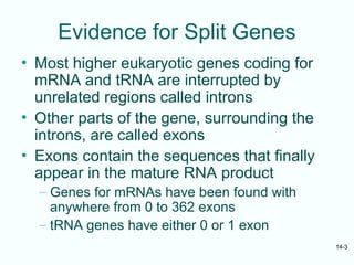 mRNA processing Lecture Note Presentation.ppt
