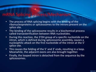 mRNA This splicing | PPTX | Biological Sciences | Science