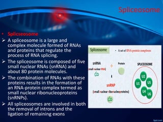 mRNA This splicing | PPTX