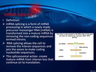 Mrna Definition