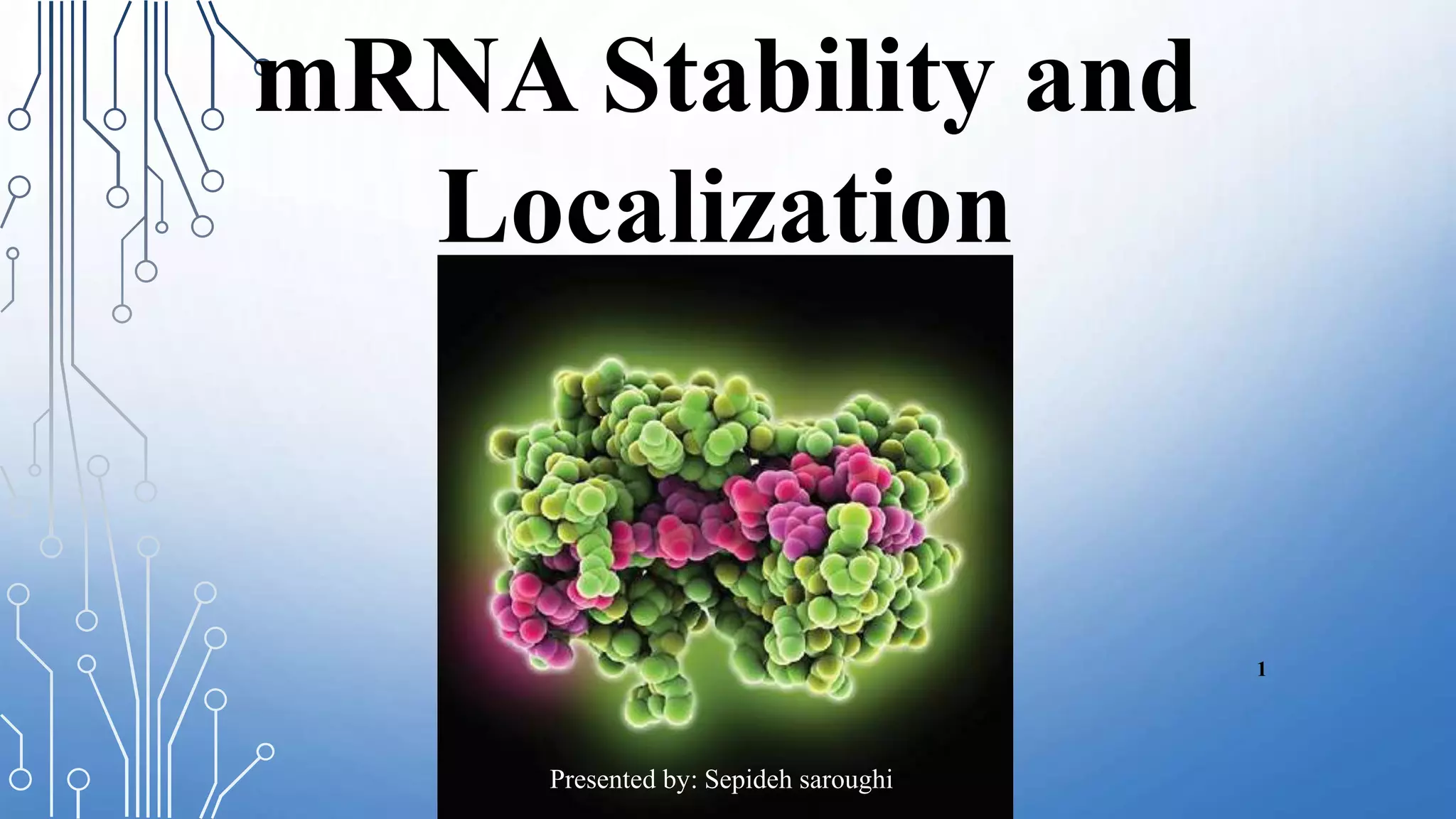 mRNA stability and localization | PPTX