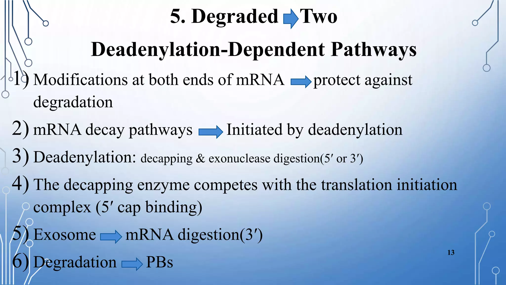 mRNA stability and localization | PPTX