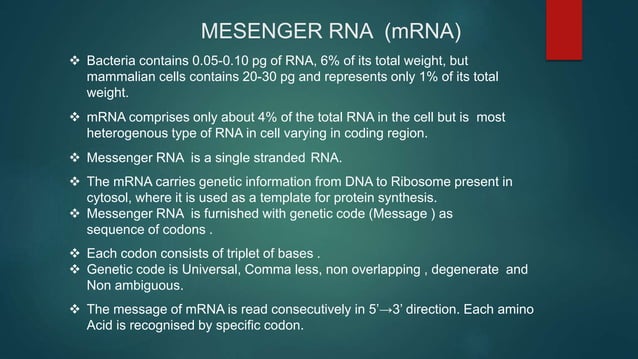 M rna structure | PPT