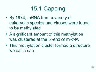 mRNA transcript sythesis from DNA templet.ppt