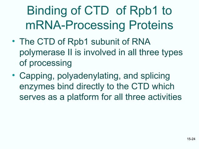 mRNA transcript sythesis from DNA templet.ppt