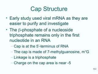 mRNA transcript sythesis from DNA templet.ppt