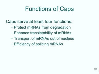 mRNA transcript sythesis from DNA templet.ppt