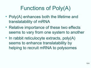 mRNA transcript sythesis from DNA templet.ppt