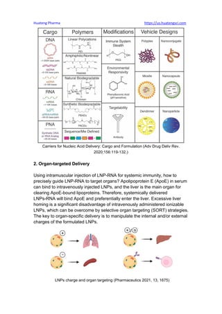 mRNA Technology How To Achieve Targeted Delivery to Organs, Cells ...