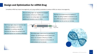 mRNA-based Therapeutics - Creative Biolabs | PPTX