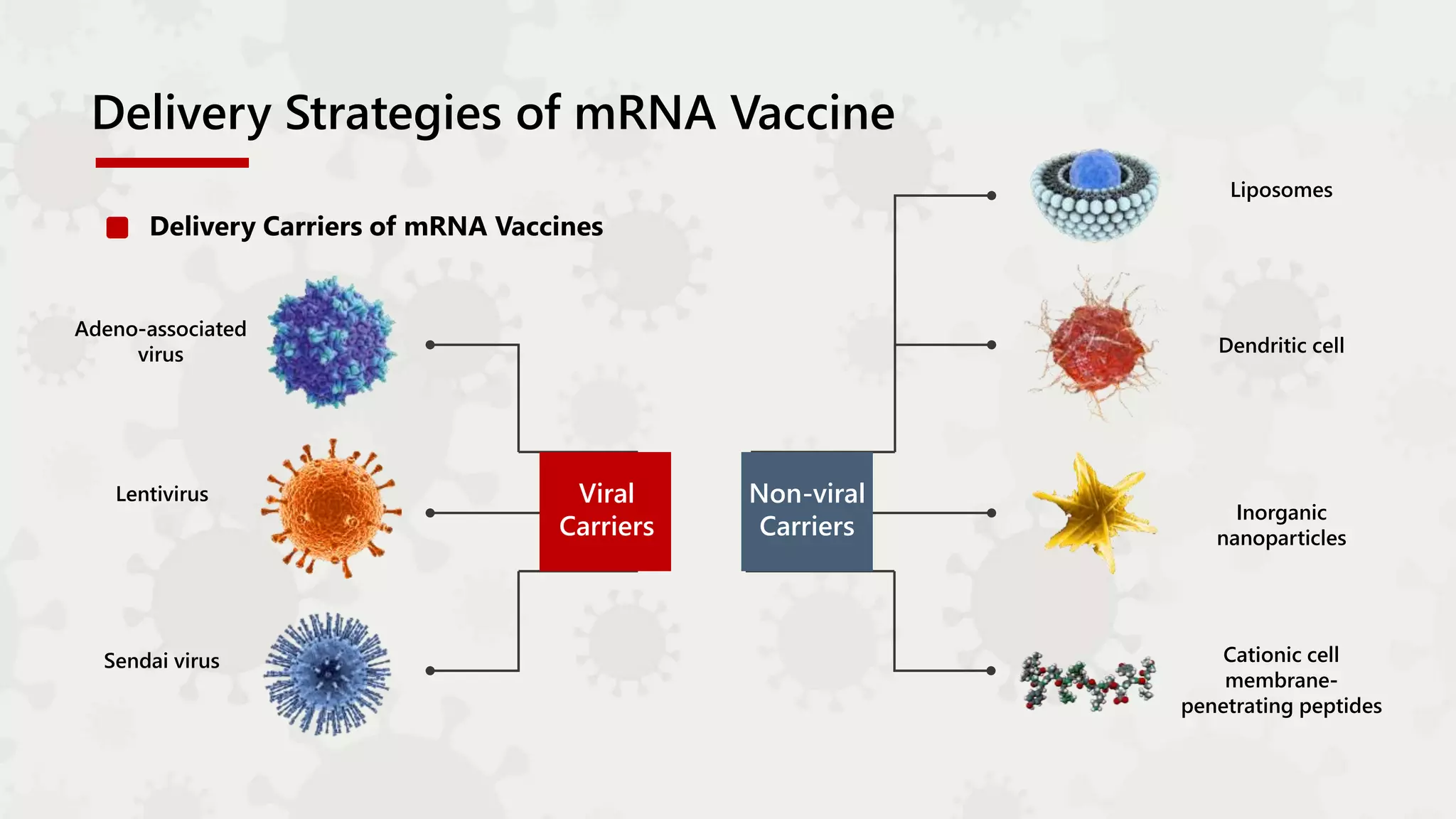 mRNA Vaccine - Creative Biolabs | PPTX