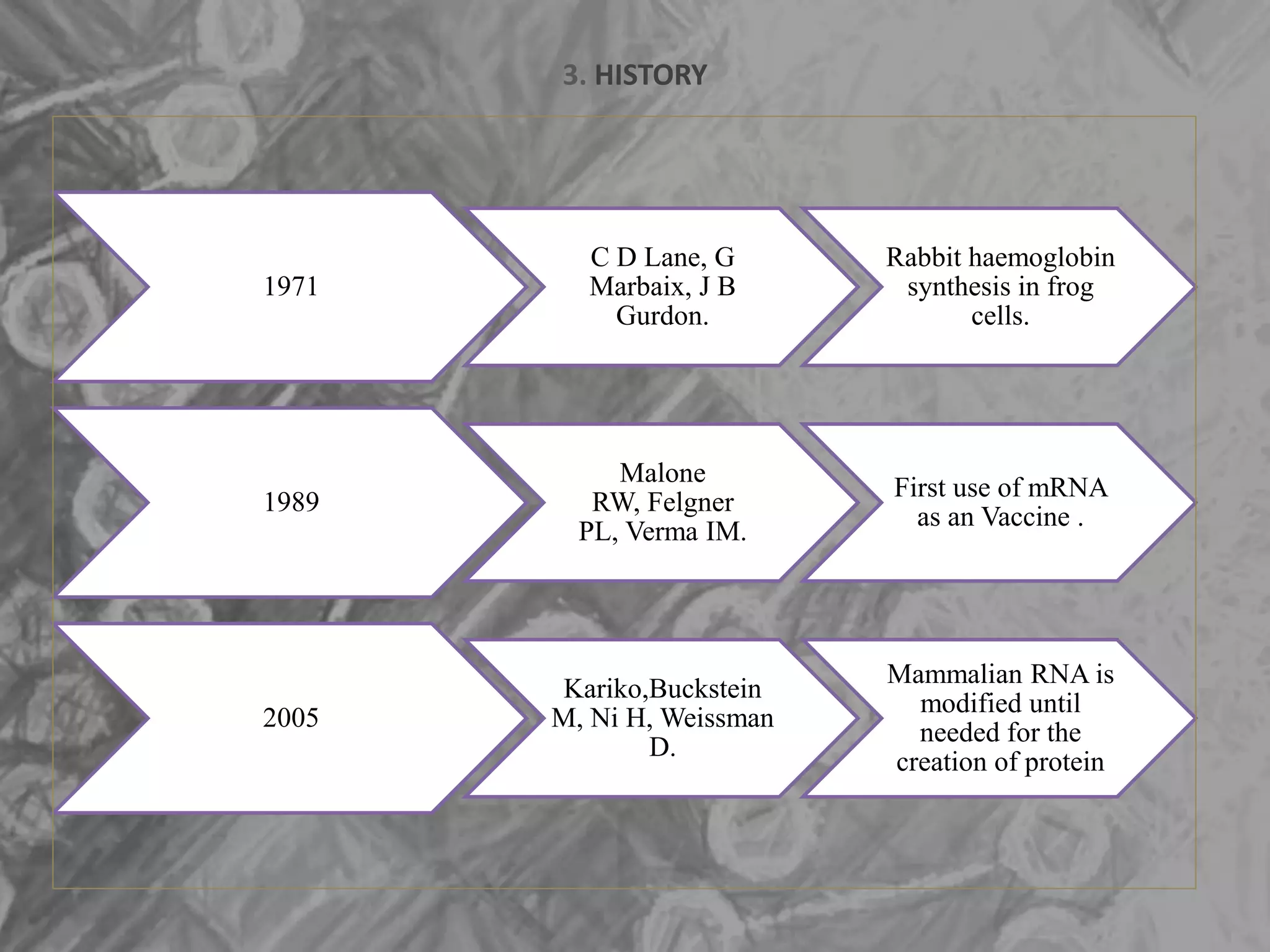 mRNA VACCINES.pptx