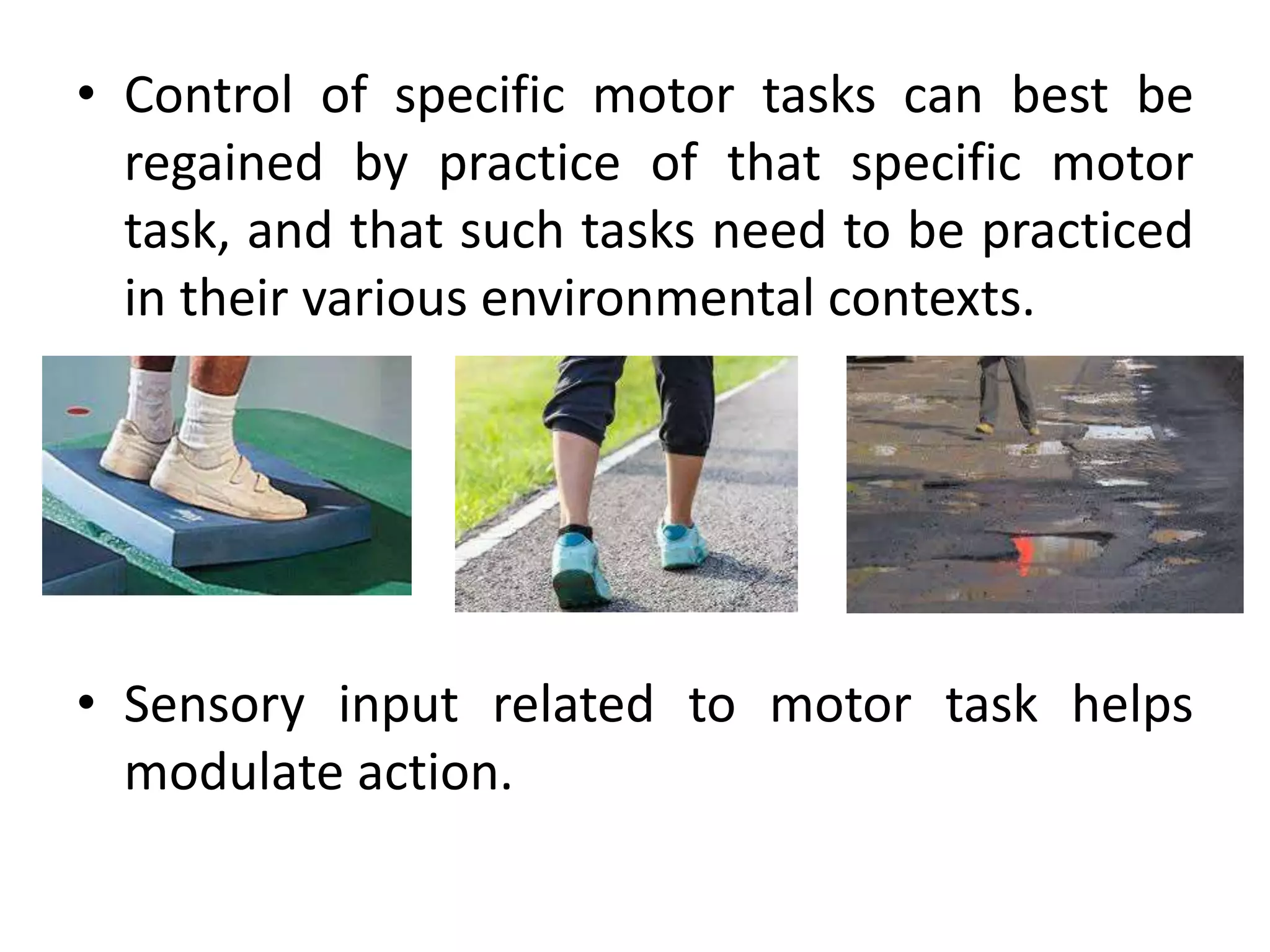 Motor relearning Programme | PPTX