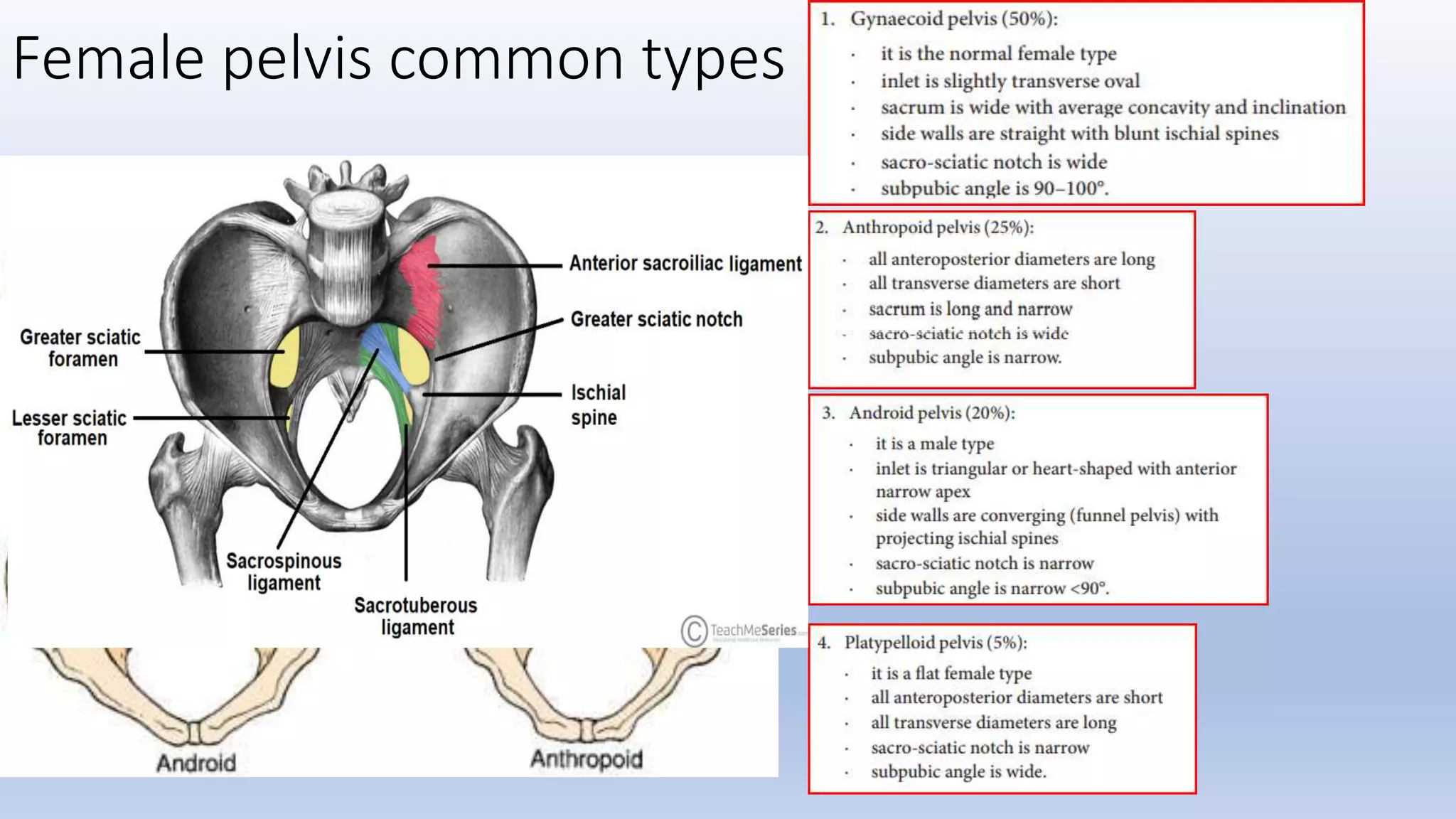 Mr procedure of pelvis and hip joint | PPTX